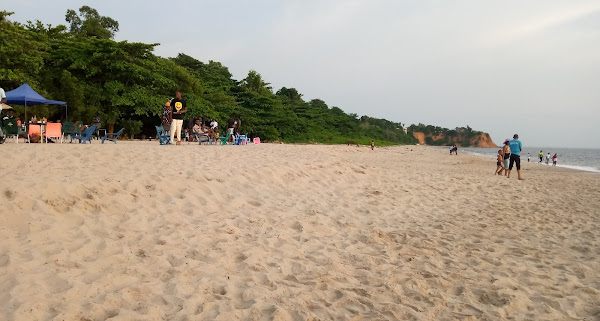 La Protection des Tortues Marines dans le Parc Marin des Mangroves en ...